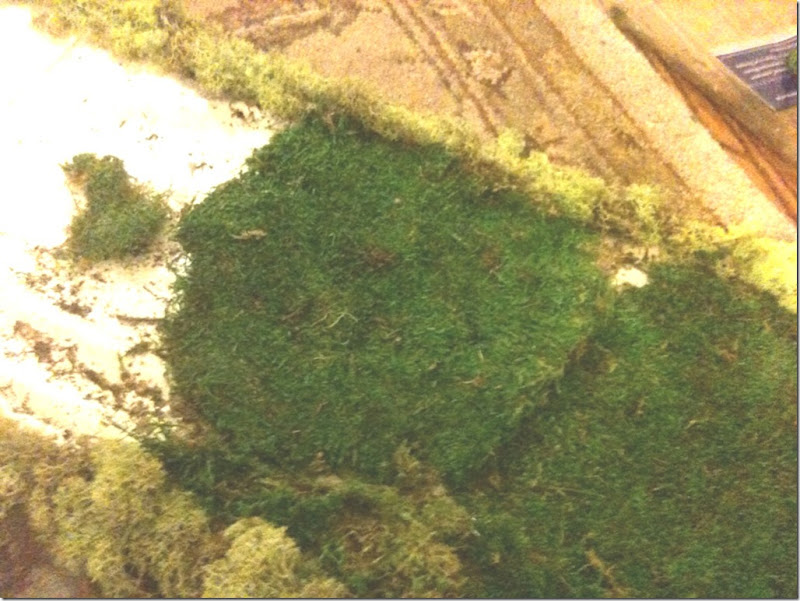 The Langham Project: How To: Make a Moss Table Runner